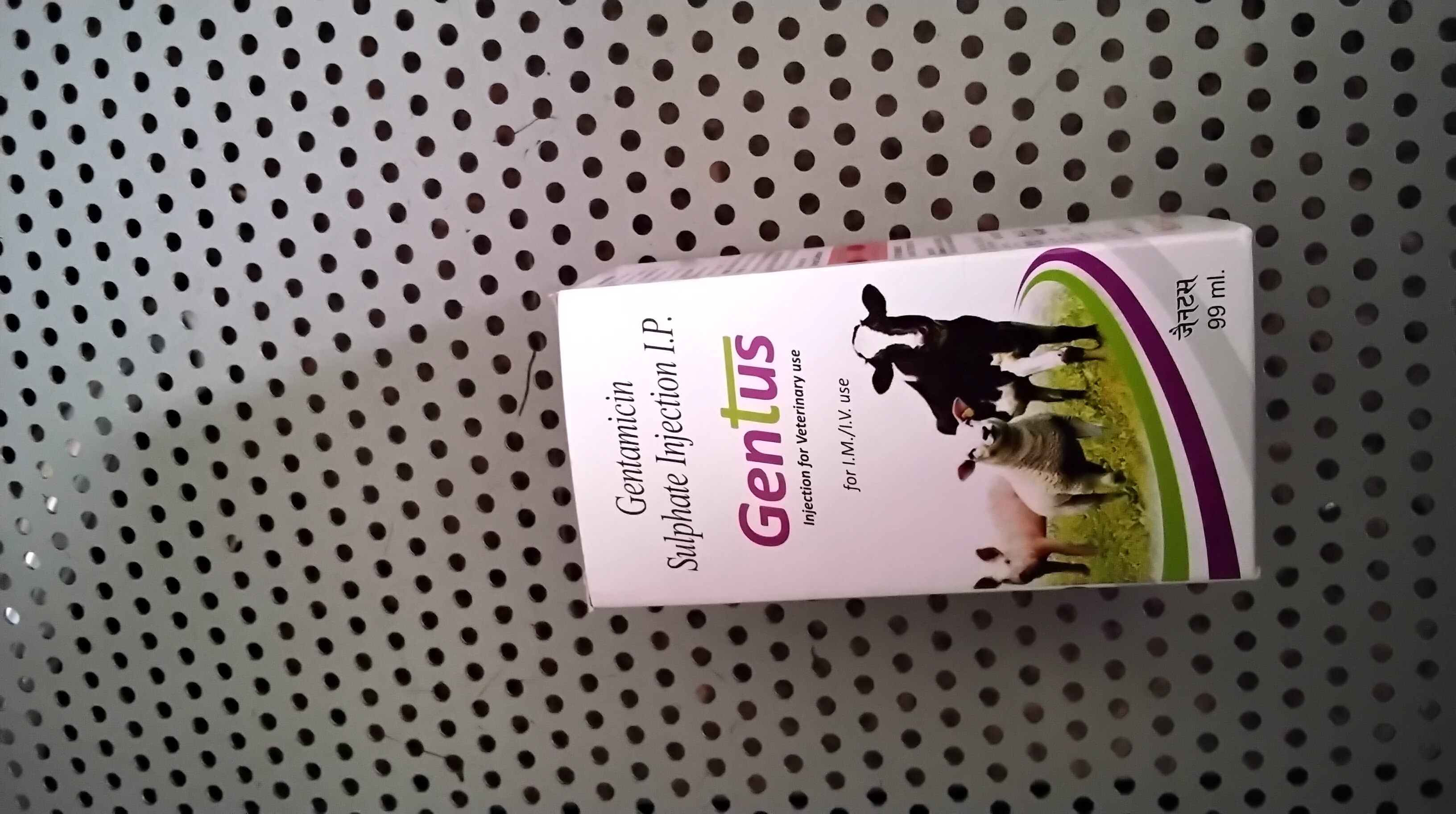 GENTUS (GENTAMICIN SULPHATE INJECTION) 99ML