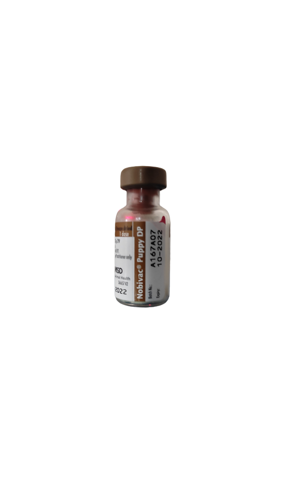 NOBIVAC PUPPY DP - 1 DOSE